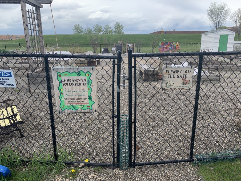 Community garden: Growing green stuff in Calgary - Running with Rhyno