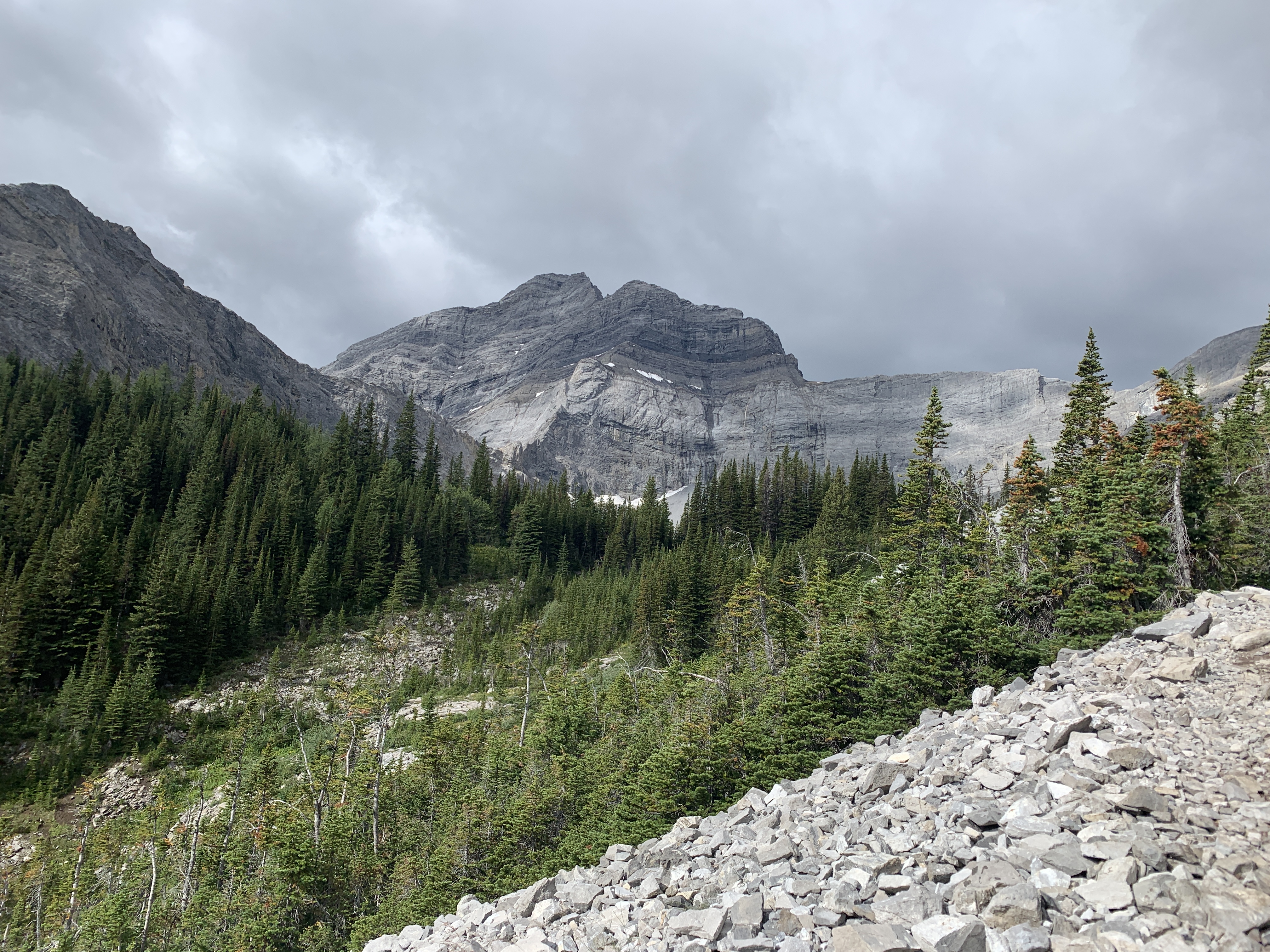 Galatea Creek Trail to Guinn's Pass - Running with Rhyno