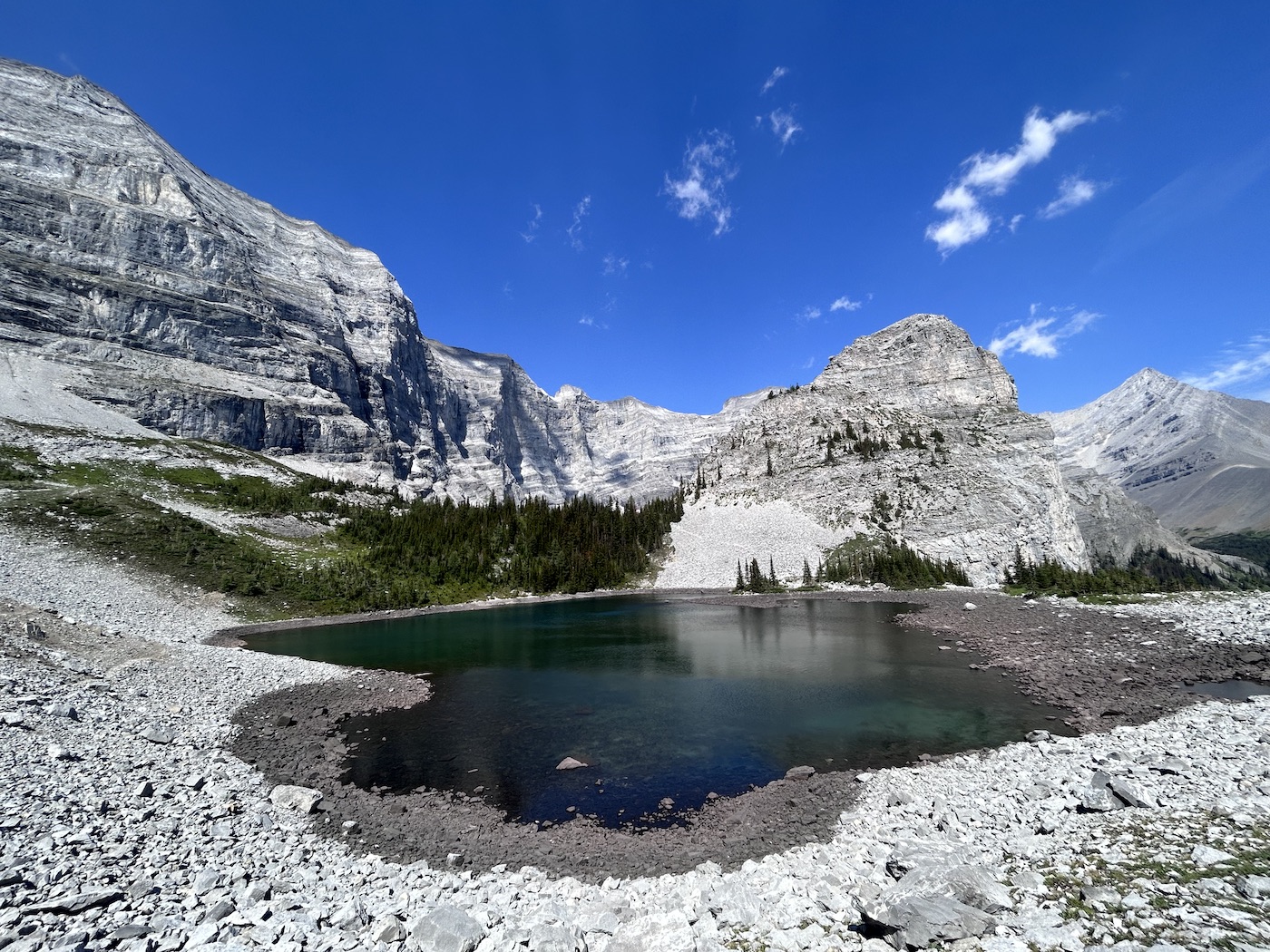 Memorial Lakes trail - Running with Rhyno